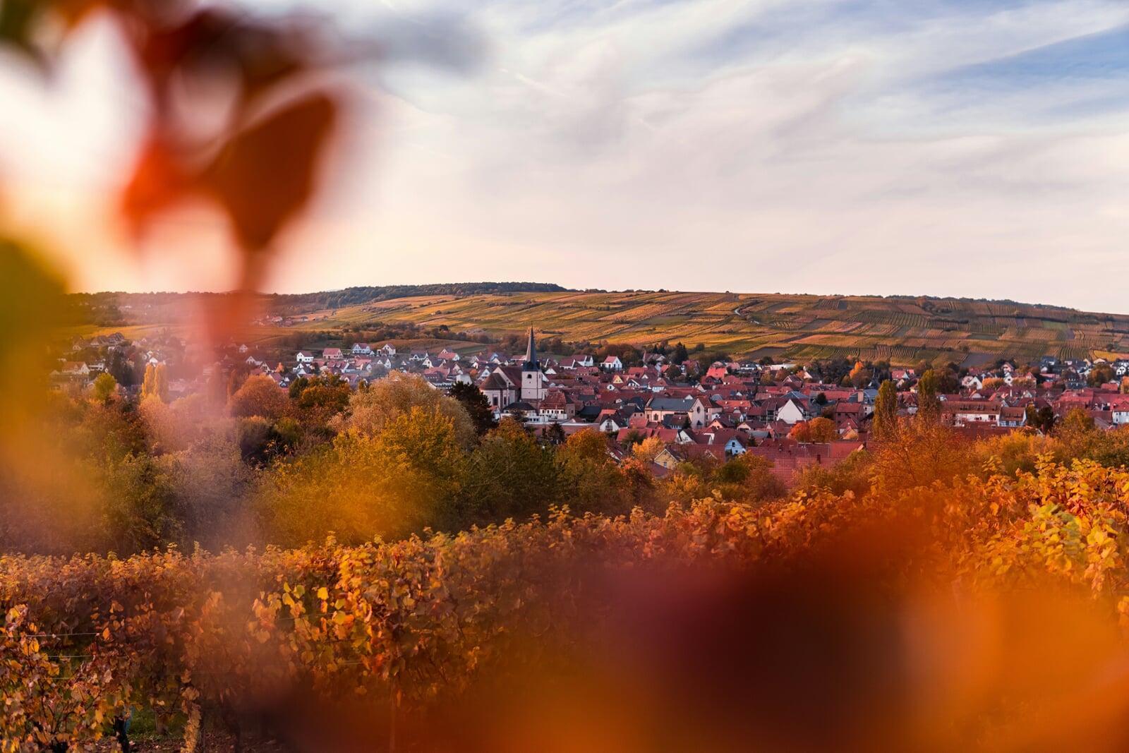 Fall in France | France
